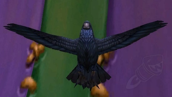 Crow - NPC - World of Warcraft