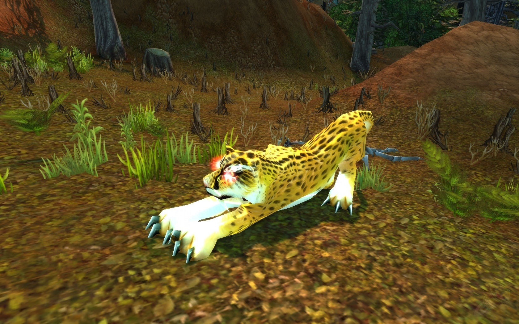 Feras - NPC - World of Warcraft