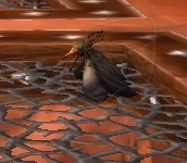 Dippy - NPC - Mists of Pandaria Classic