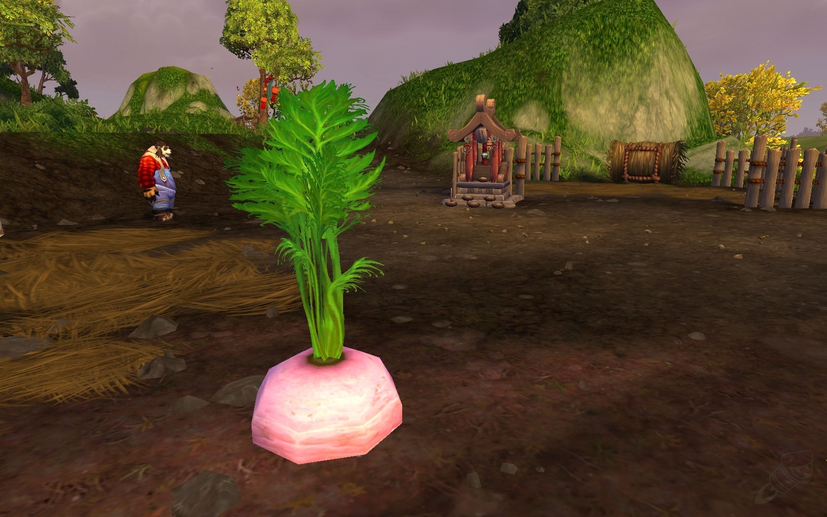 Pink Turnip Seeds - Item - 11.2.5 PTR