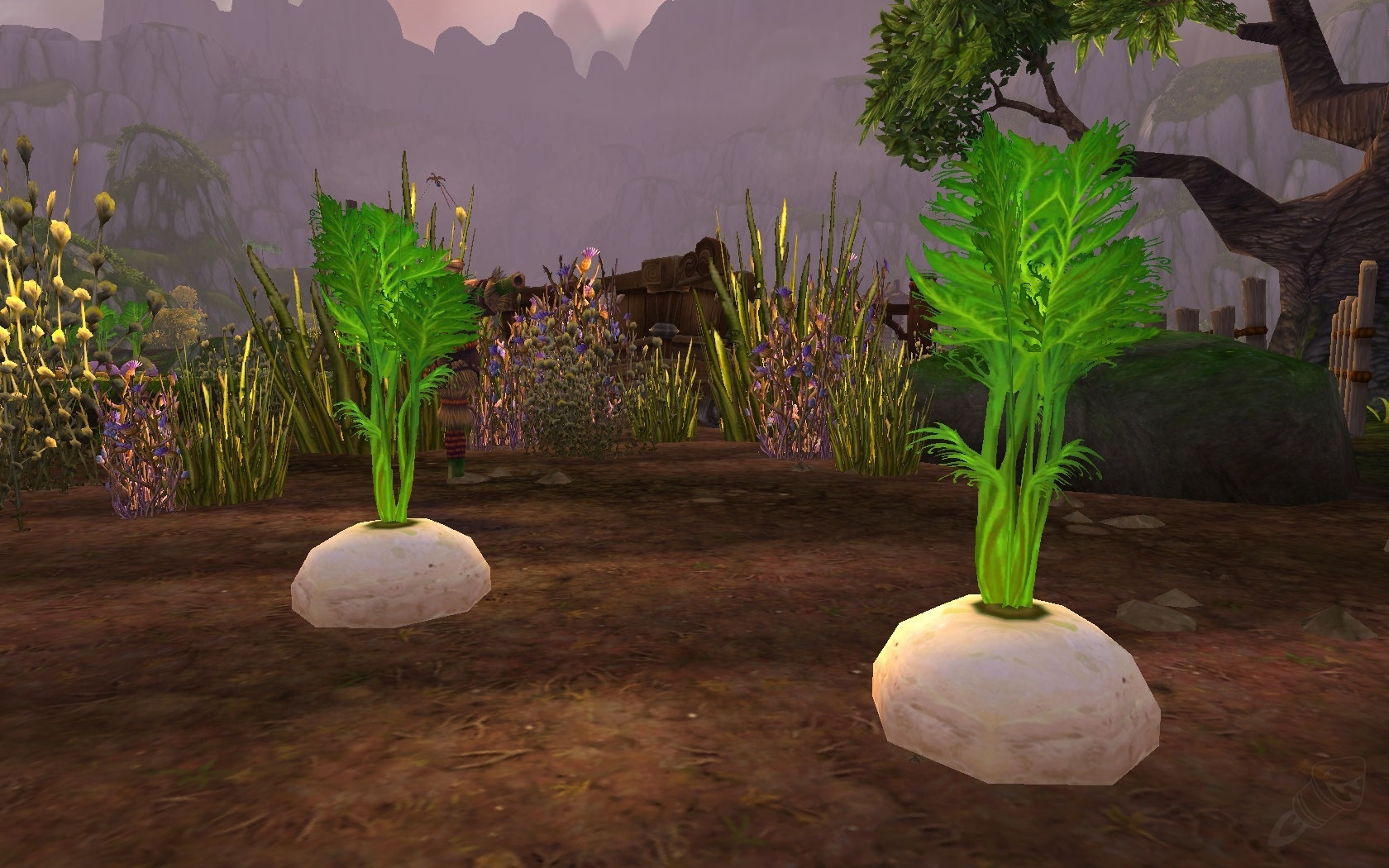 Semillas de naba blanca - Objeto - [Mists of Pandaria Classic]