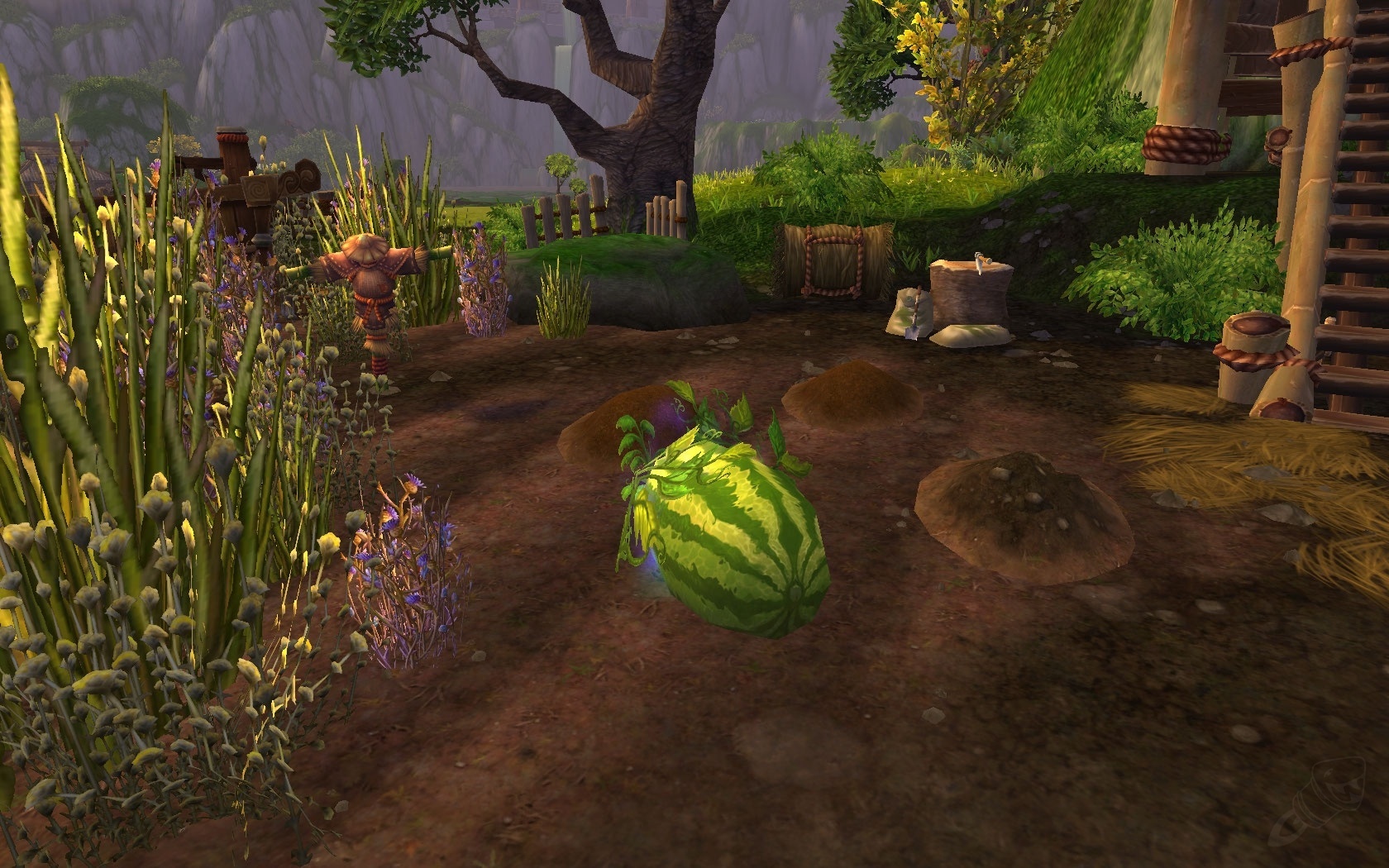 Striped Melon - Item - Mists of Pandaria Classic