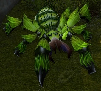 Zorn - NPC - World of Warcraft