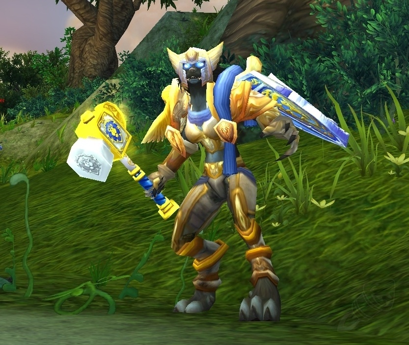 Shieldwall Defender - NPC - World of Warcraft