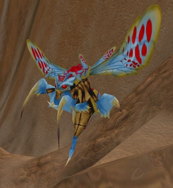 Cyn - PNJ - World of Warcraft