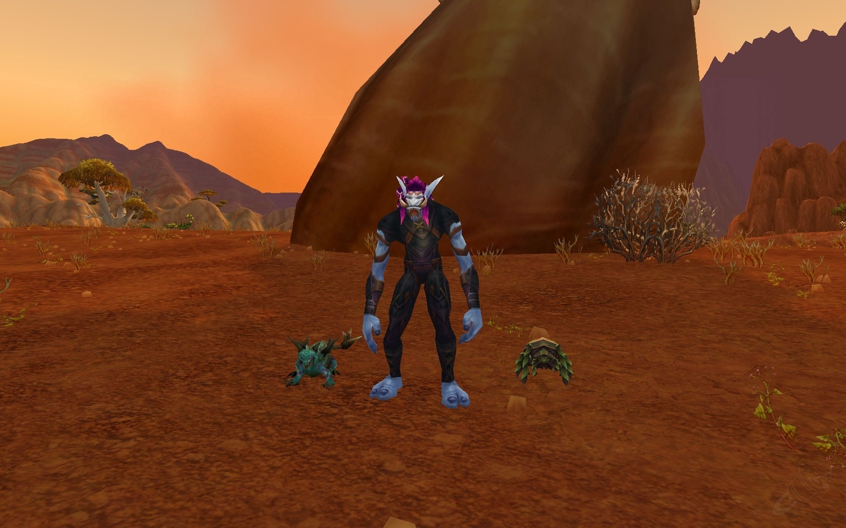 Zunta - NPC - Mists of Pandaria Classic