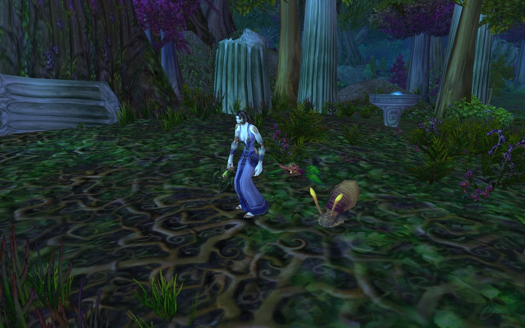 Analynn - NPC - Mists of Pandaria Classic