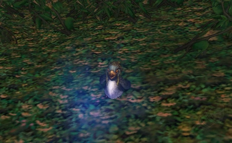 Warble - NPC - World of Warcraft
