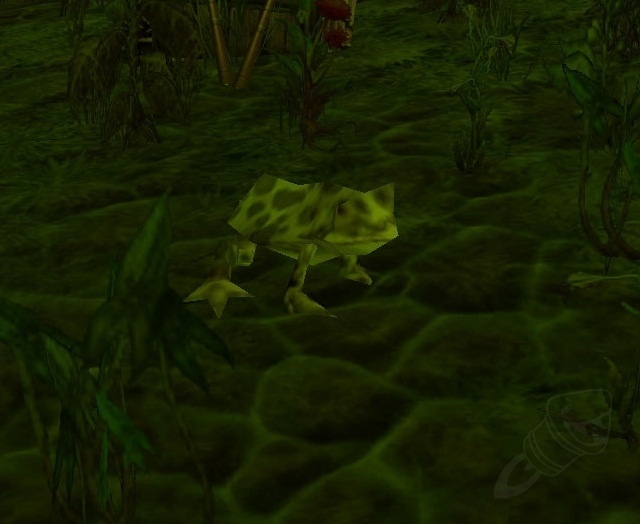 Quako - NPC - Mists of Pandaria Classic