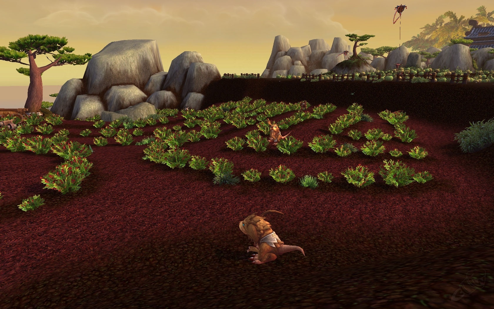 Rascals - Quest - Mists of Pandaria Classic