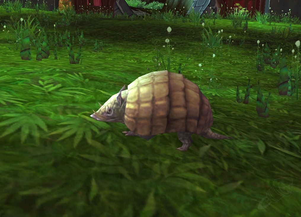 Pangolin - NPC - Mists of Pandaria Classic