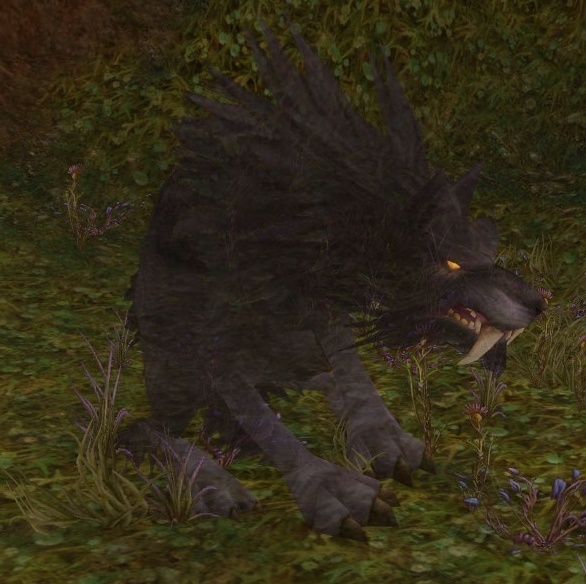 Nighthowl Npc World Of Warcraft