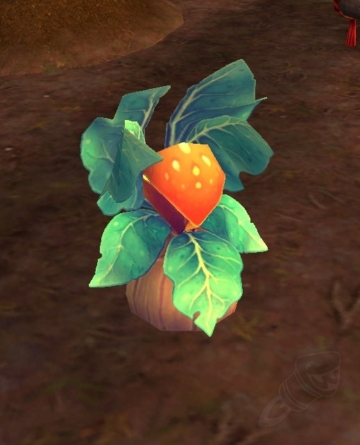 Growing Magebulb - NPC - World of Warcraft