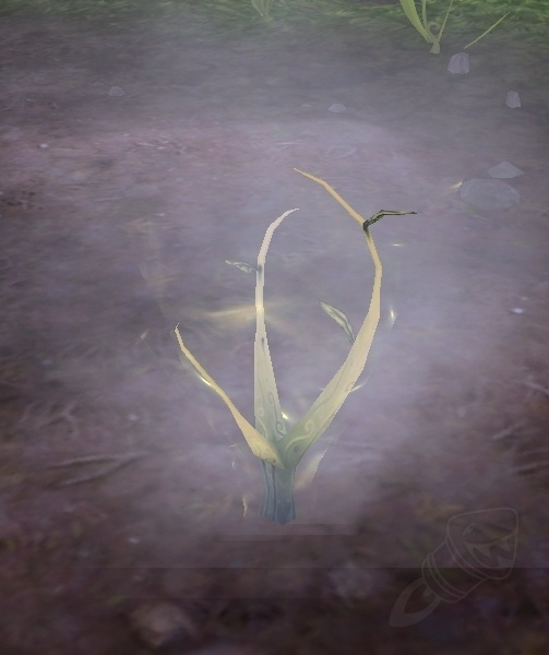 Semilla enigma mustia - PNJ - [Mists of Pandaria Classic]