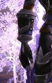 Ruthless Gladiator's Plate Gauntlets - Item - World of Warcraft