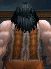 Ragged Wolf Hide Cloak - Item - Mists of Pandaria Classic