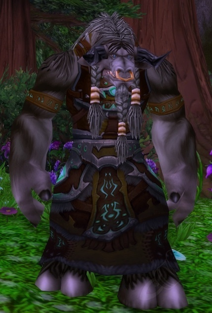 Runetotem's Robe of Conquest - Item - World of Warcraft