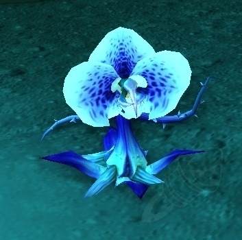 Bloom - NPC - Mists of Pandaria Classic