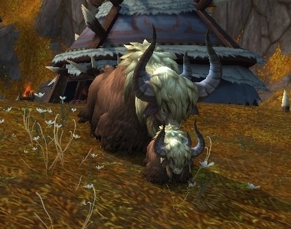 Ordo Yak - NPC - World of Warcraft