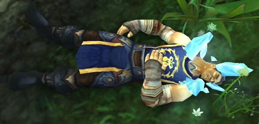 Skyfire Marine - NPC - Mists of Pandaria Classic