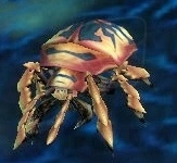 Mutant Parasite - NPC - World of Warcraft