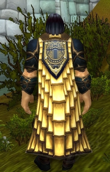 Gray Hair Cloak - Item - World of Warcraft