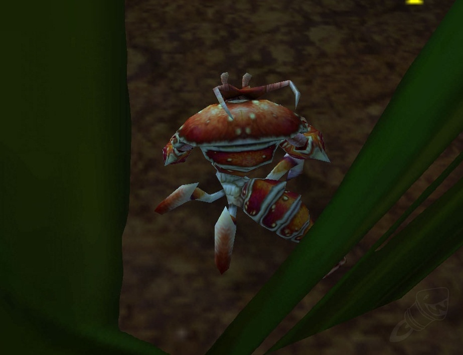 Muddy Crawfish - Item - Mists of Pandaria Classic