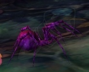 Amethyst Spiderling - NPC - Mists of Pandaria Classic