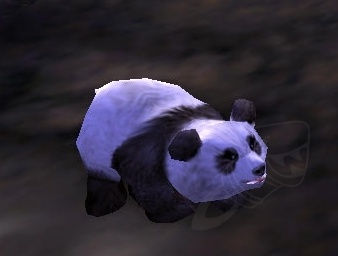 Panda Cub - NPC - Mists of Pandaria Classic