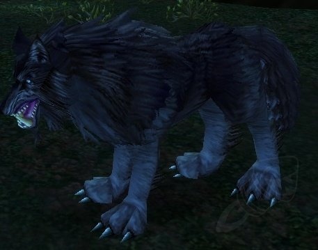 Huargo - PNJ - World of Warcraft