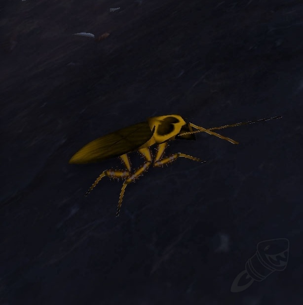 Ihgaluk Roach - NPC - Mists of Pandaria Classic