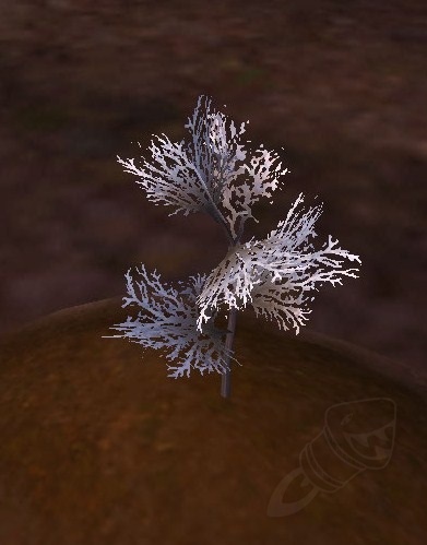 Winter Blossom Sapling - Item - Mists of Pandaria Classic