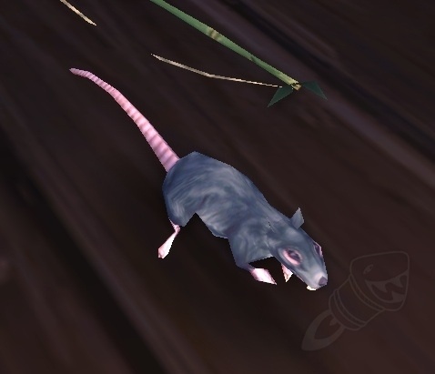 Hungry Rat - NPC - Mists of Pandaria Classic