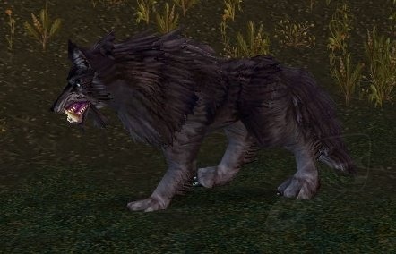 Huargo Sangrocico - PNJ - World of Warcraft