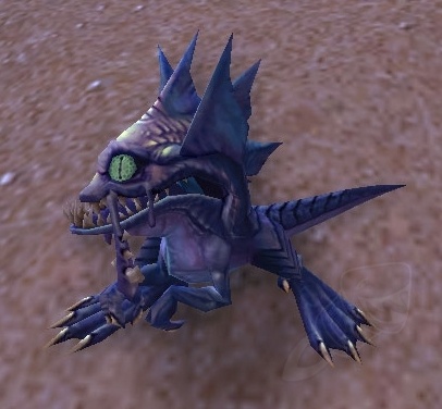 Curious Oracle Hatchling - Item - World of Warcraft