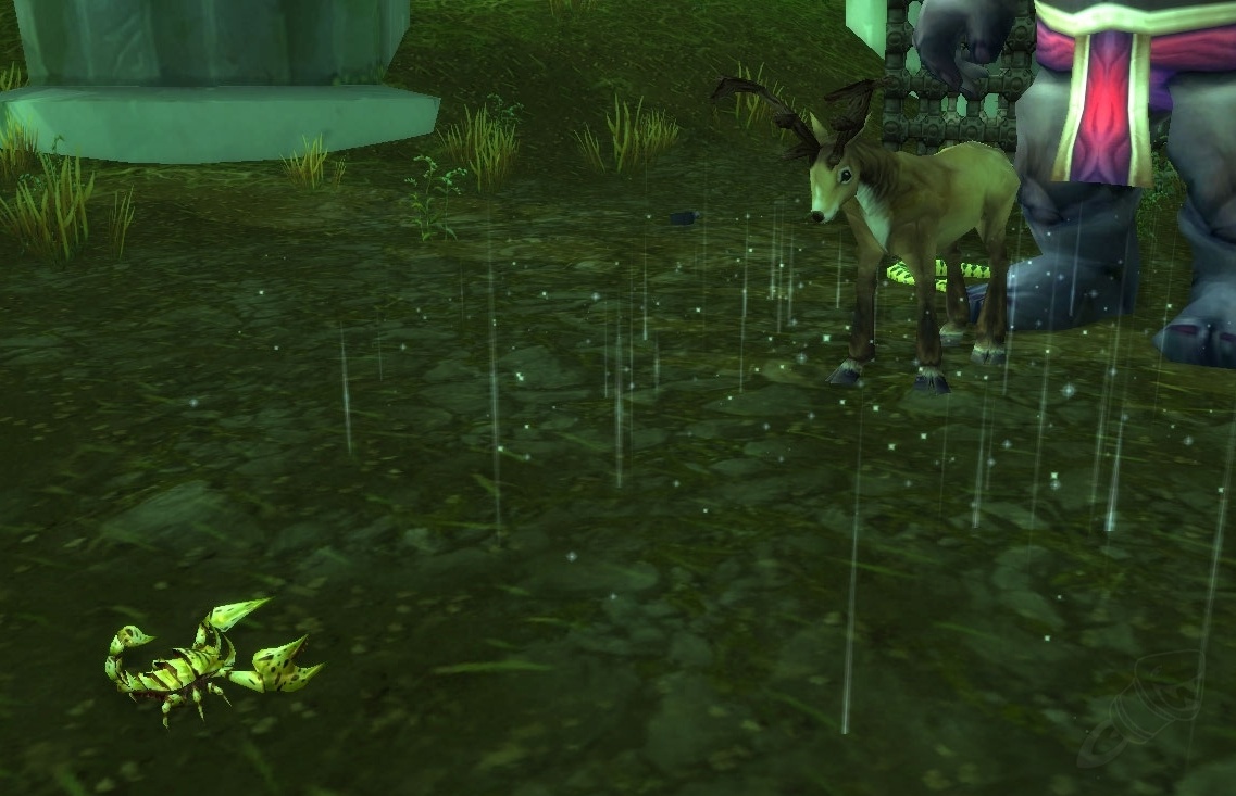 Prancer - NPC - Mists of Pandaria Classic