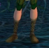Bogwalker Boots - Item - World of Warcraft
