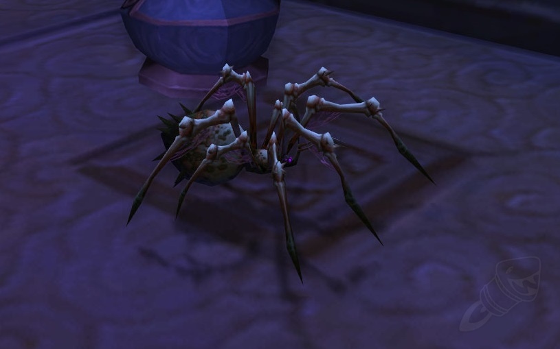 Araña osaria - PNJ - World of Warcraft