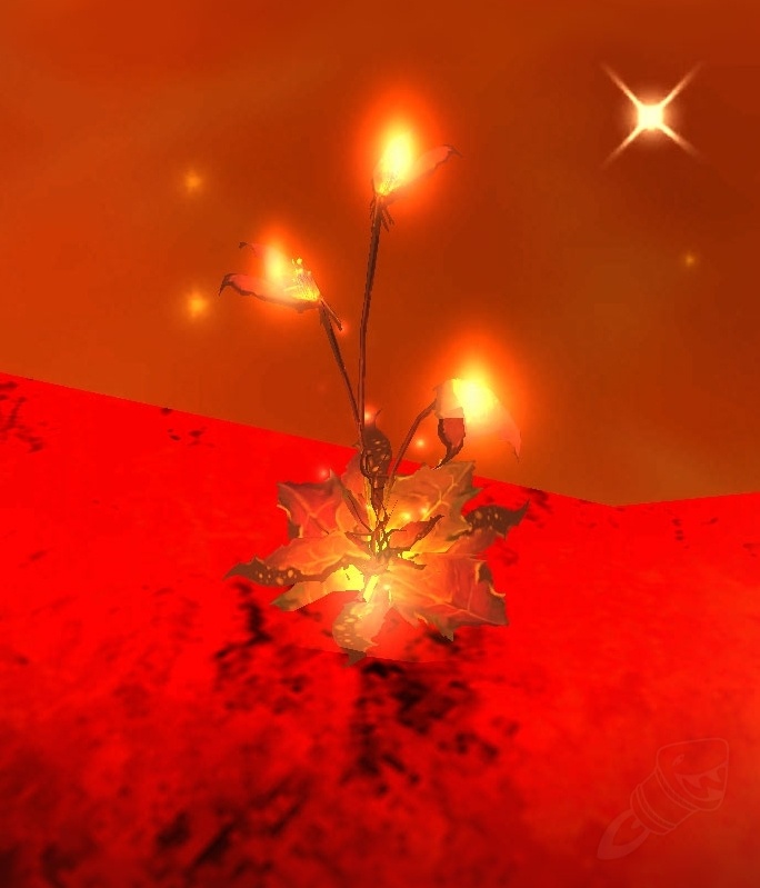 Cinderbloom - Object - World of Warcraft