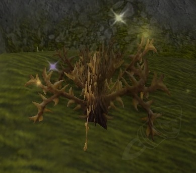 Goldthorn - Object - Mists of Pandaria Classic