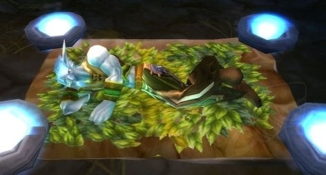 Clintar Dreamwalker - NPC - WotLK Classic