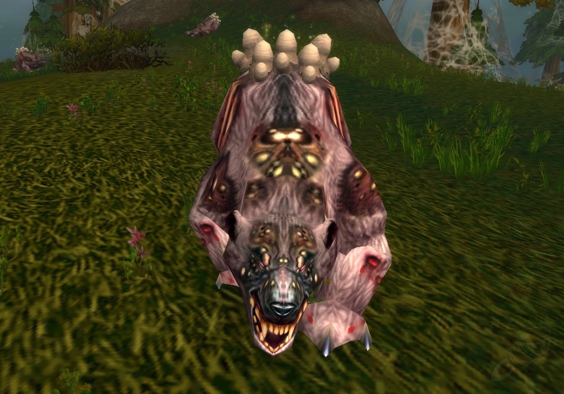 Infested Bear - NPC - Mists of Pandaria Classic
