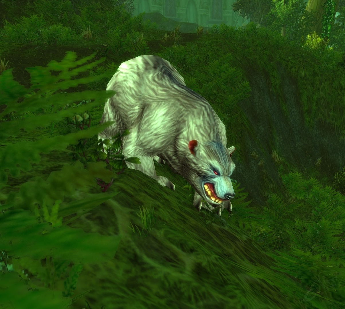 Testing the Vessel - Quest - World of Warcraft