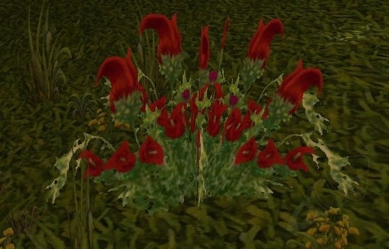Bloodthistle - Object - World of Warcraft