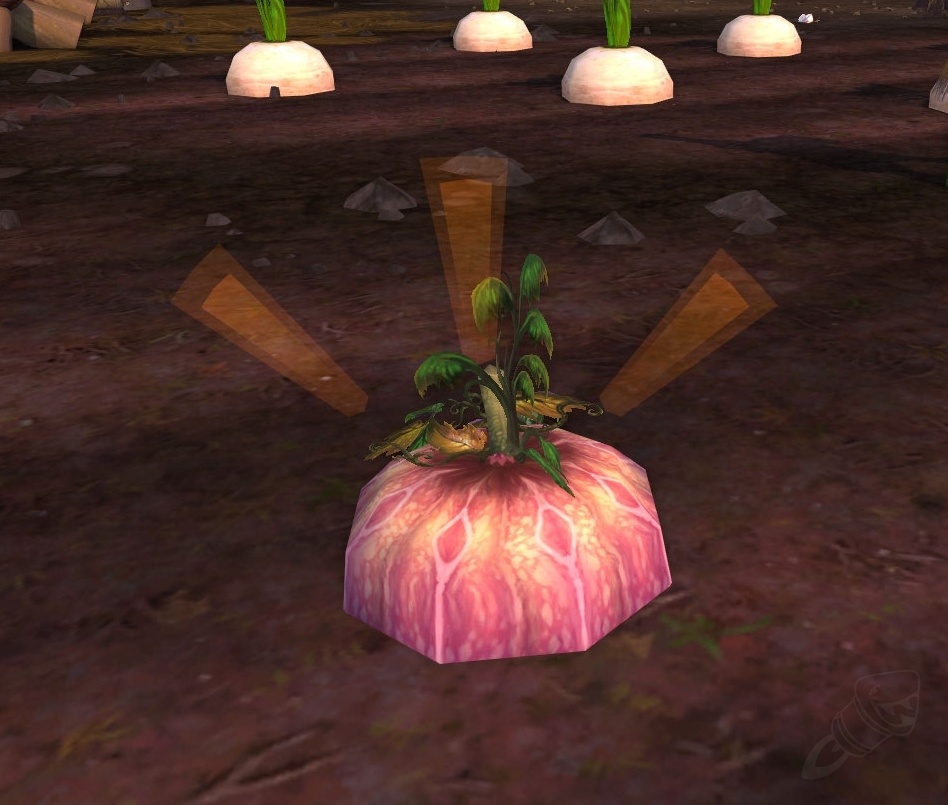 Runty Mogu Pumpkin - NPC - Mists of Pandaria Classic