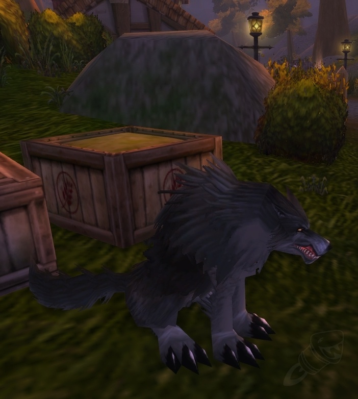 Scruffy - NPC - Mists of Pandaria Classic