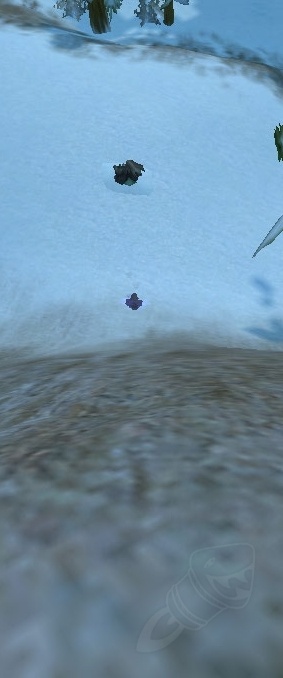 Moonkin (Druid - Night Elf) - NPC - Mists of Pandaria Classic