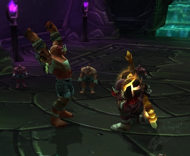 Bonechewer Brawler - NPC - World of Warcraft