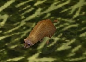 Prairie Dog - NPC - World of Warcraft