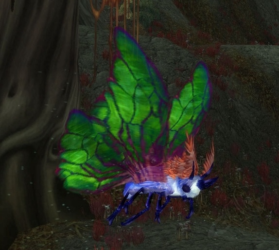 Thicket - NPC - Mists of Pandaria Classic